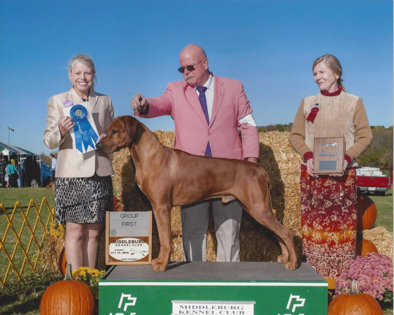 Rhodesian Ridgeback Puppy Litters - Jafari Ridge